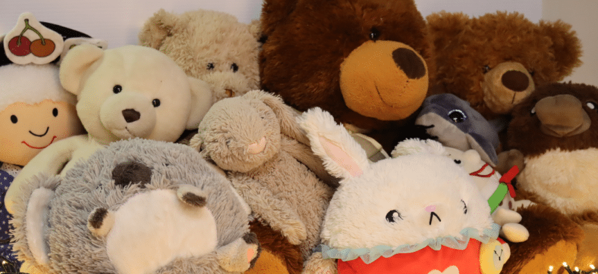 Teddy Bear Sleepover Story Time - Northern Beaches Mums