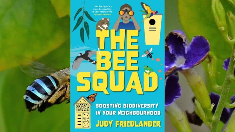 The Bee Squad with Dr Judy Friedlander - Northern Beaches Mums