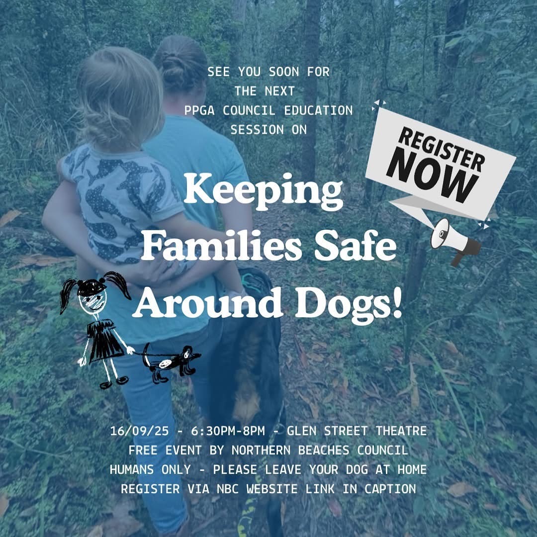 Keeping Families Safe Around Dogs - Northern Beaches Mums